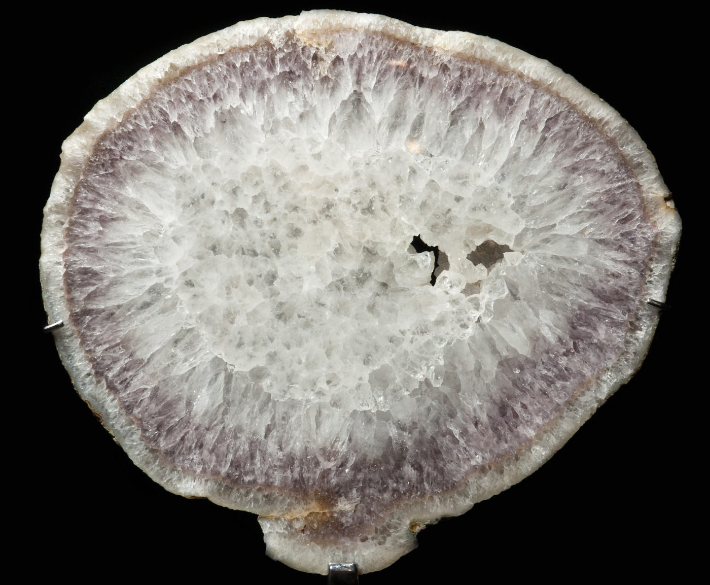 Amethyst & Quartz Geode Slice | Dale Rogers Ammonite