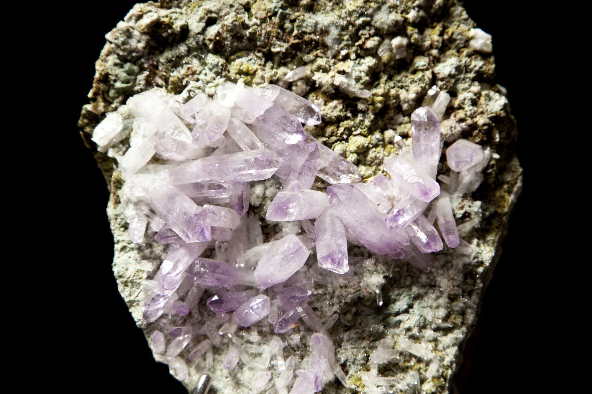Mexican Amethyst Cluster | Dale Rogers Ammonite