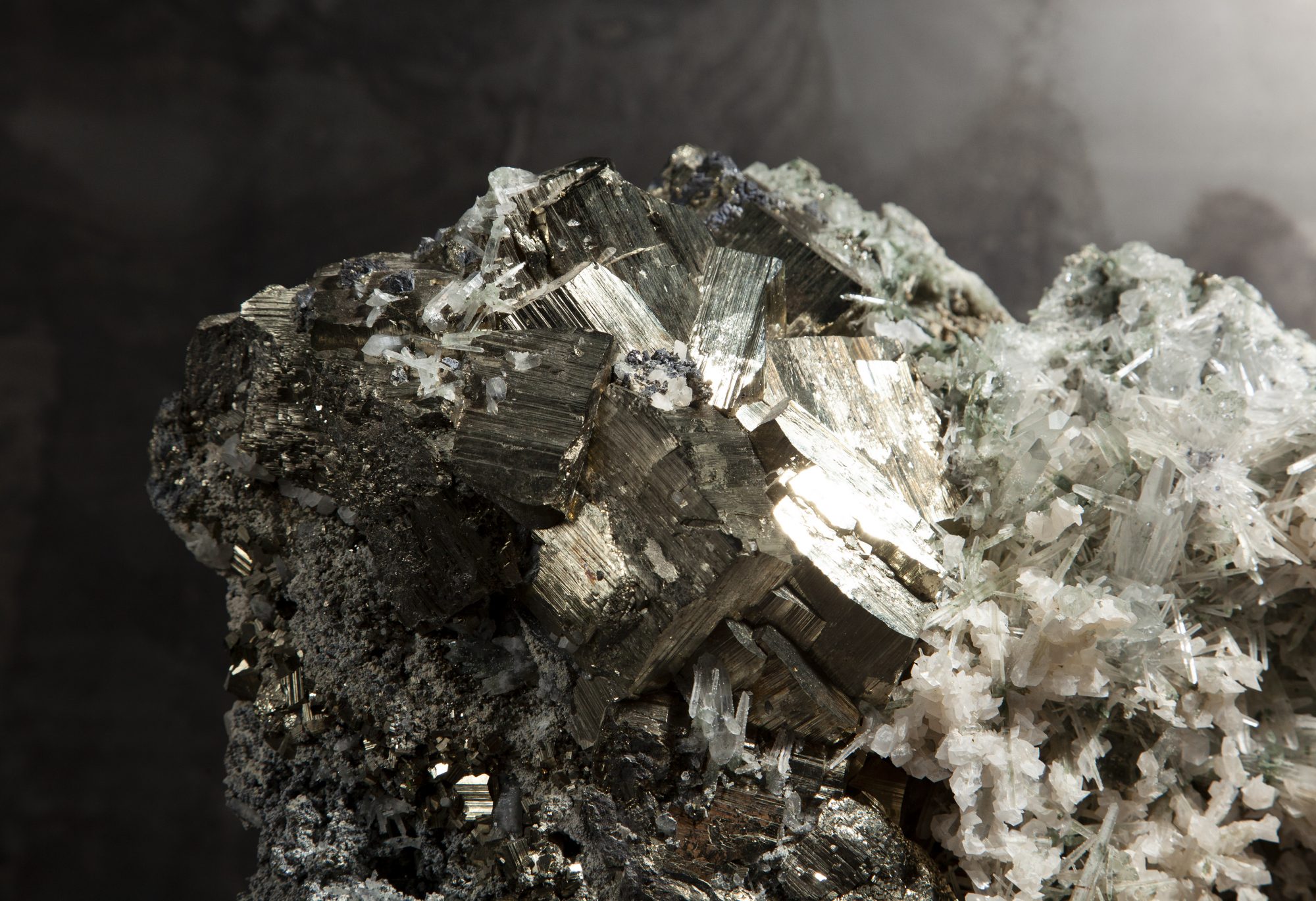 Pyrite & Quartz Cluster | Dale Rogers Ammonite