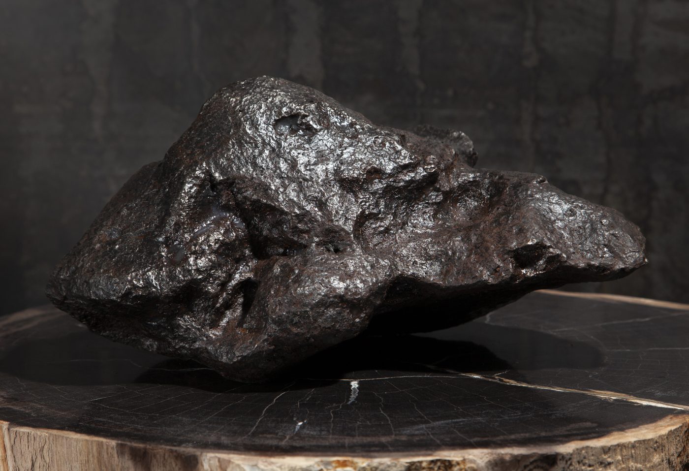 Giant Meteorite | Dale Rogers Ammonite