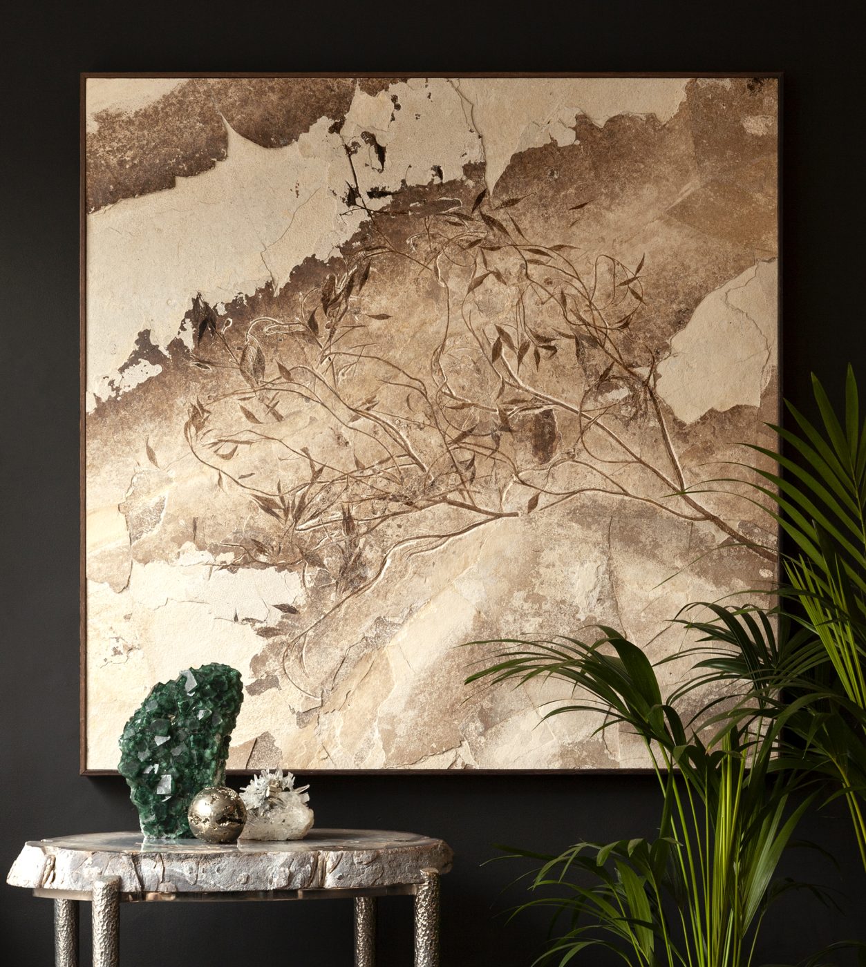 Rare Unidentified Plant Species | Dale Rogers Ammonite