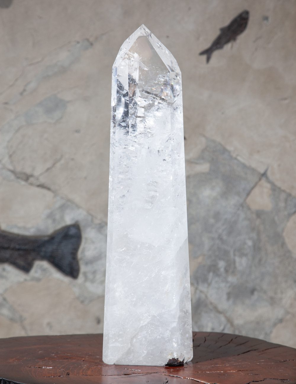 Large Quartz Crystal Point | Dale Rogers Ammonite