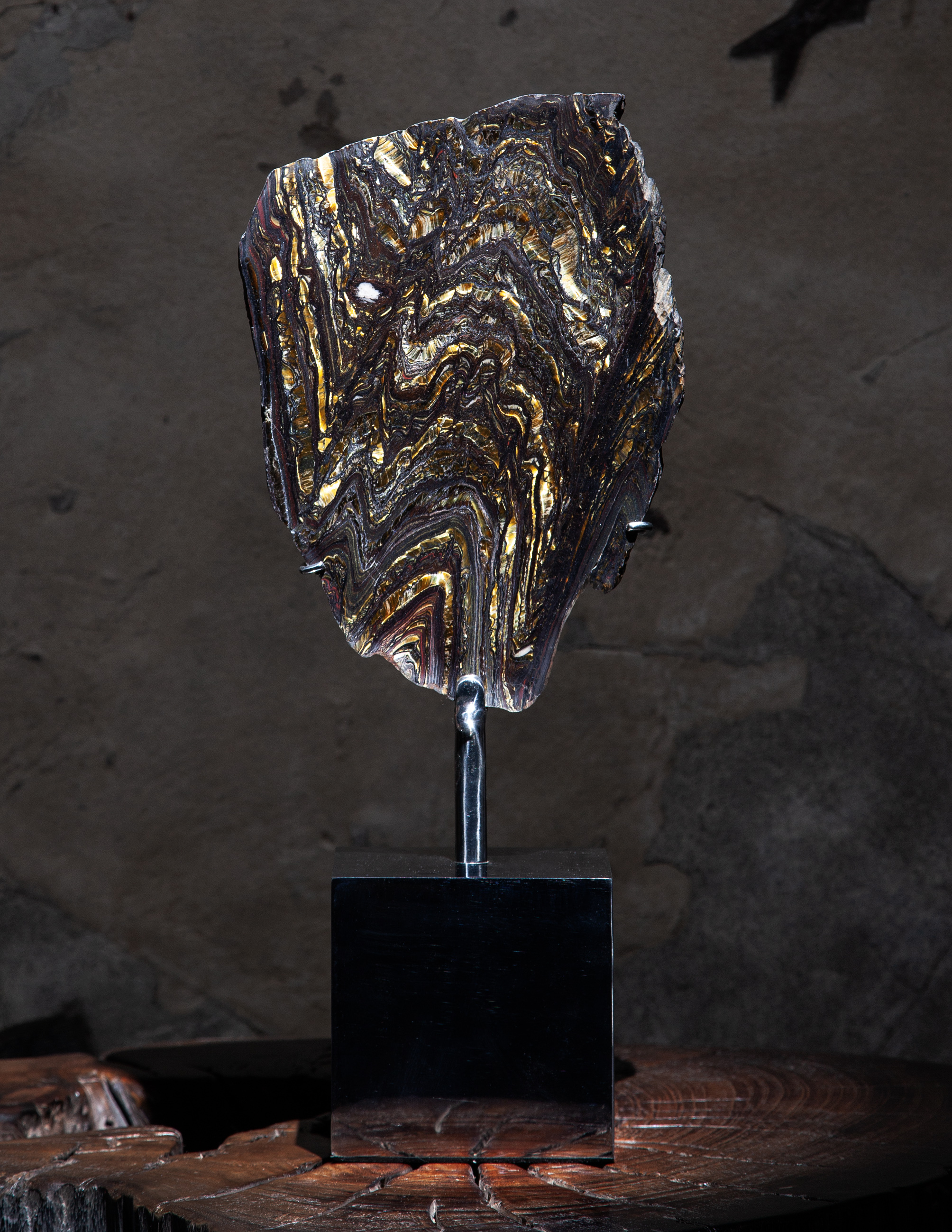 Mounted Tiger Iron Slice | Dale Rogers Ammonite